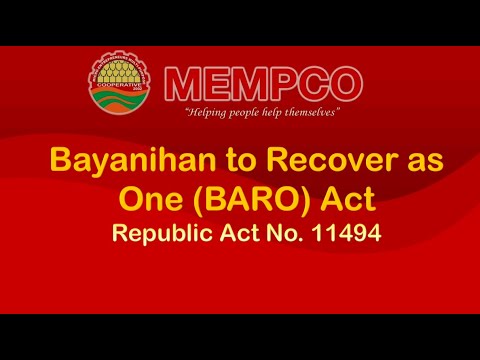 Bayanihan 2 Explainer Video | Micro-Entrepreneur's Multi-Purpose ...